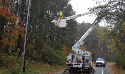 Delaware Electric Cooperative | We keep the lights on