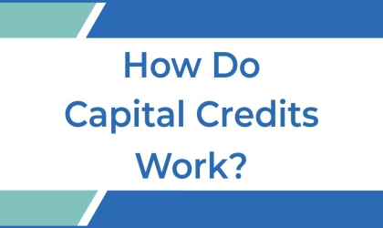 Delaware Electric Cooperative | We keep the lights on