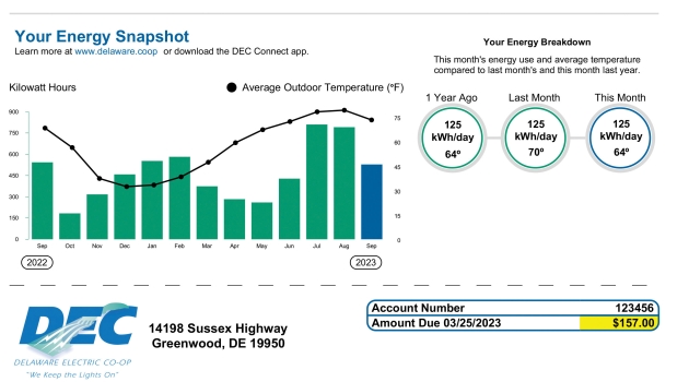 Check Out Your Electric Bill’s New Look This Month | Delaware Electric ...